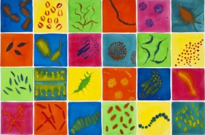 Science Art : Michele Banks – Artologica | Endless Forms Most Beautiful