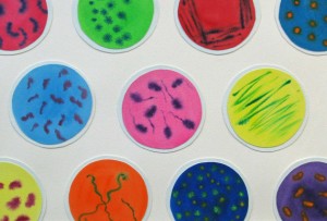 Science Art : Michele Banks – Artologica | Endless Forms Most Beautiful