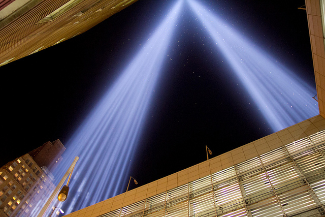 Seeing the Light: Freeing the Birds of 9/11 | Endless Forms Most Beautiful